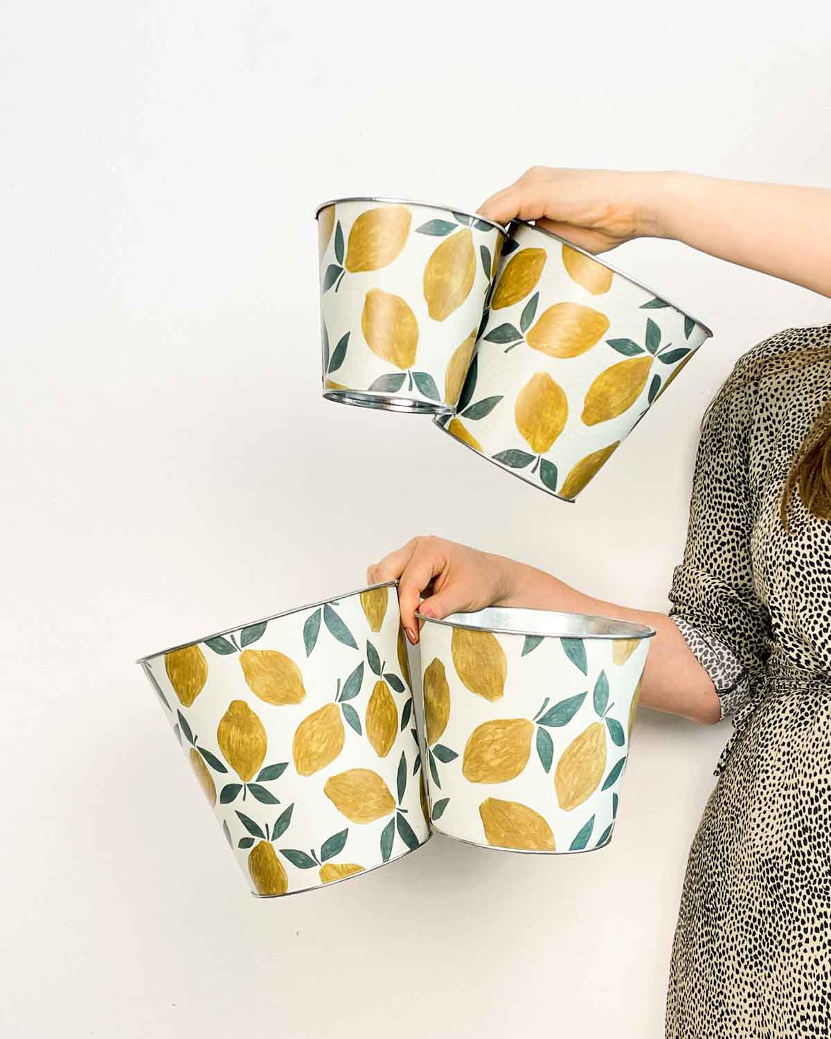 Žuti limuni - komplet 4 lonca - Džungla Plants