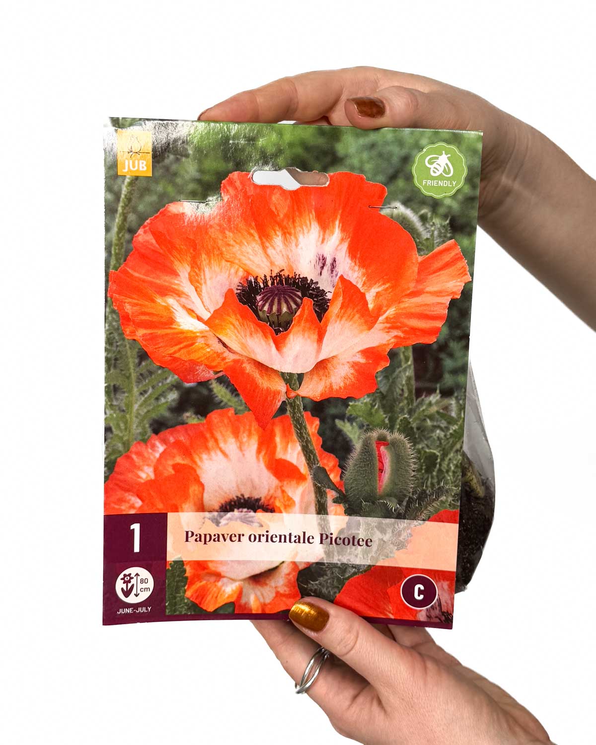 Gomolj Turski mak ‘Picotee’ (Papaver orientale) - Džungla Plants